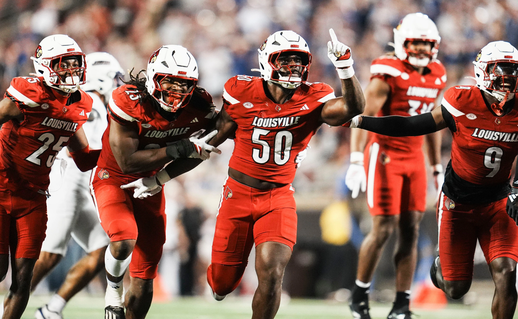 Daily Free Pick | Harry Bondi Sports